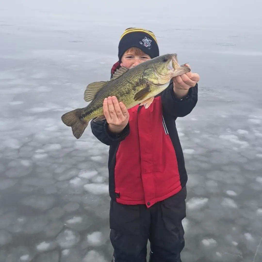 ᐅ Beaver Dam Lake fishing reports🎣• Beaver Dam, WI (United States) fishing