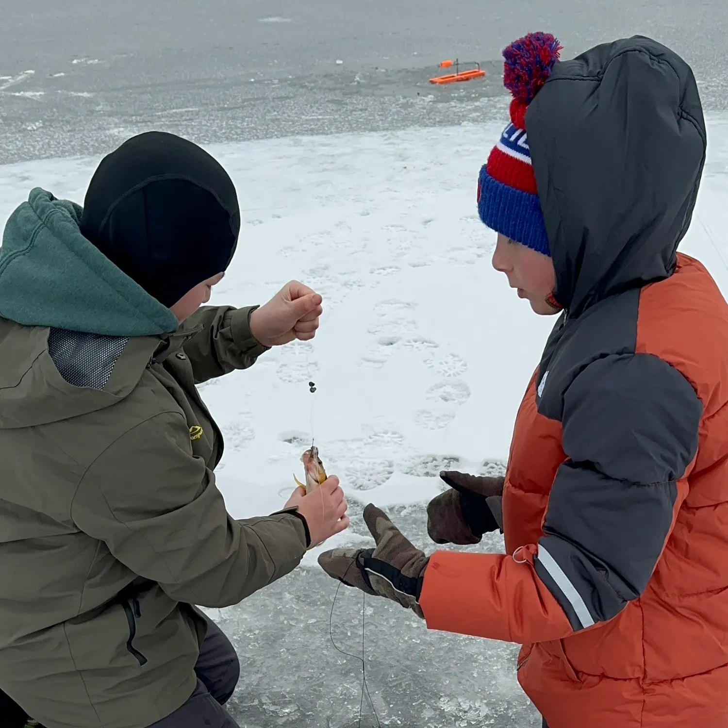 ᐅ Leaser Lake fishing reports🎣• Tamaqua, PA (United States) fishing