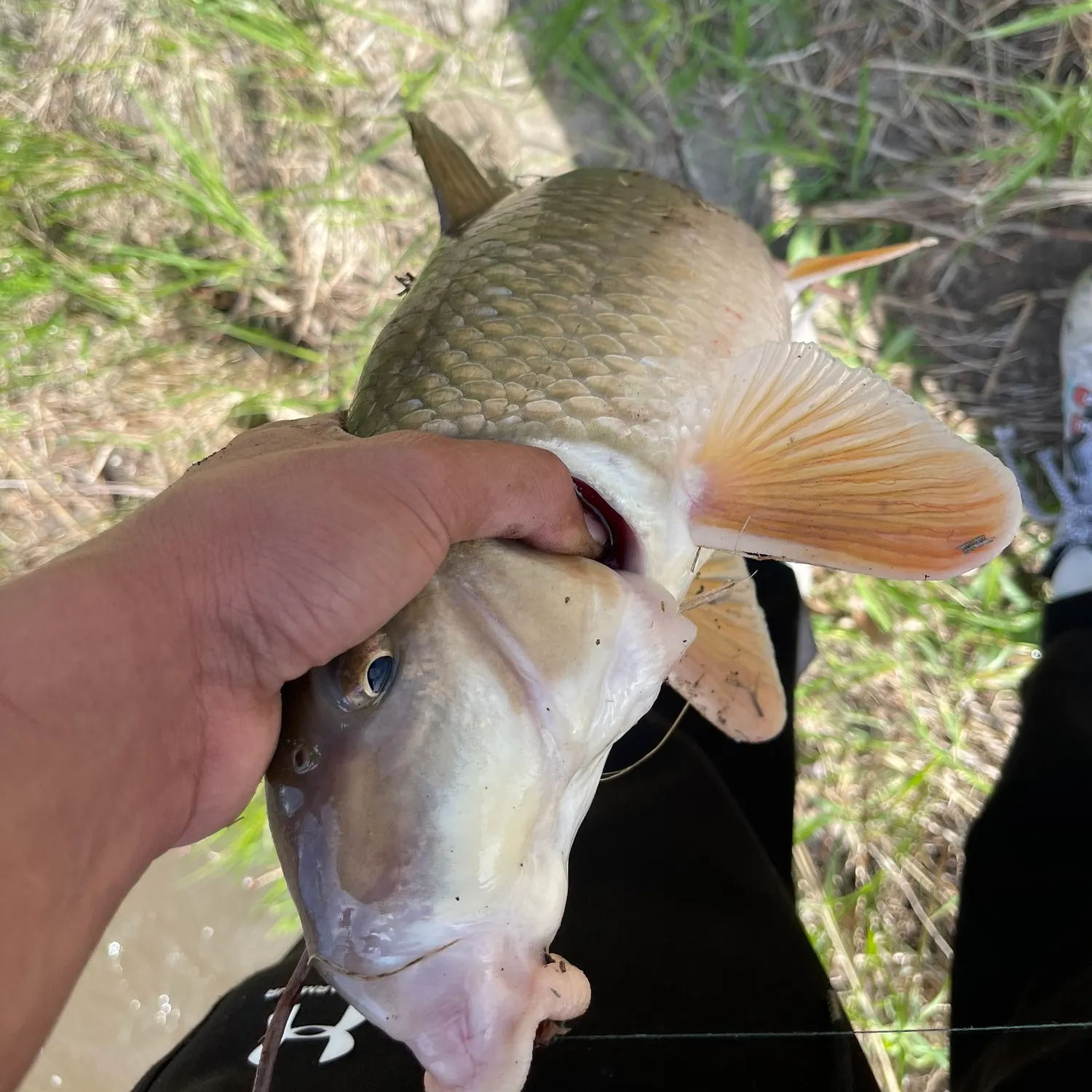 Fishing in Fargo, ND (United States) ️️️️ Find Spots, Species & Tips