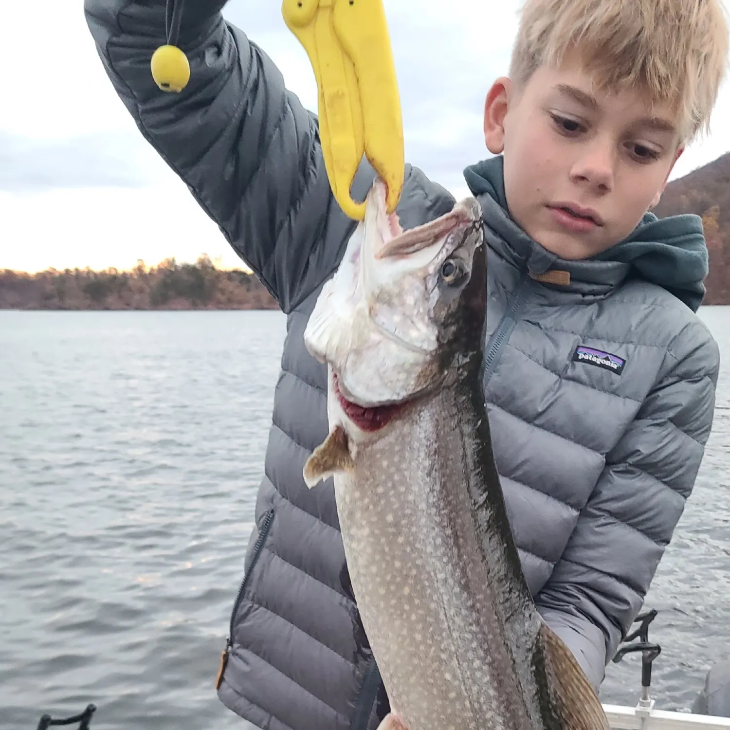 ᐅ Raystown Lake fishing reports🎣• Huntingdon, PA (United States) fishing