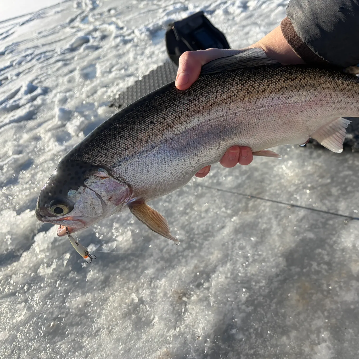 ᐅ Strawberry Reservoir fishing reports🎣• Springville, UT (United States ...
