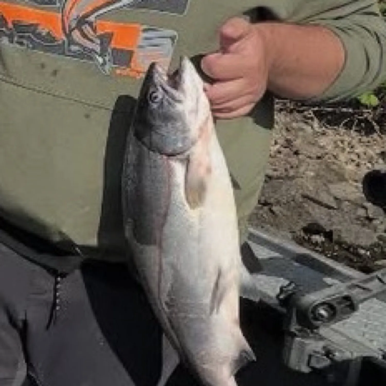 ᐅ Drano Lake fishing reports🎣• Hood River, WA (United States) fishing