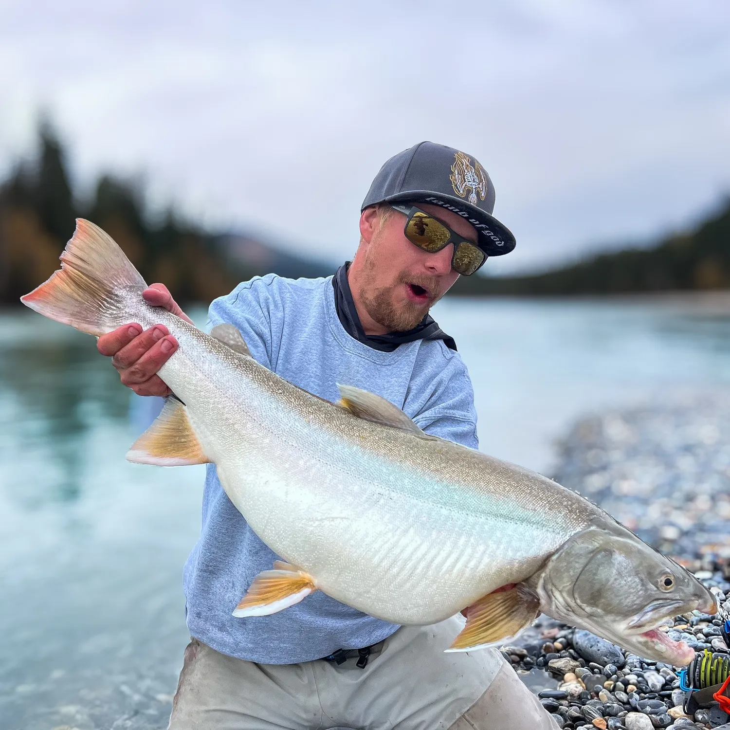 ᐅ Elbow River fishing reports🎣• Alberta, Canada fishing