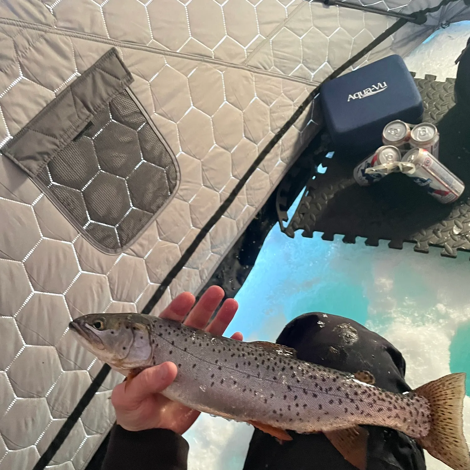 ᐅ Strawberry Reservoir fishing reports🎣• Springville, UT (United States ...