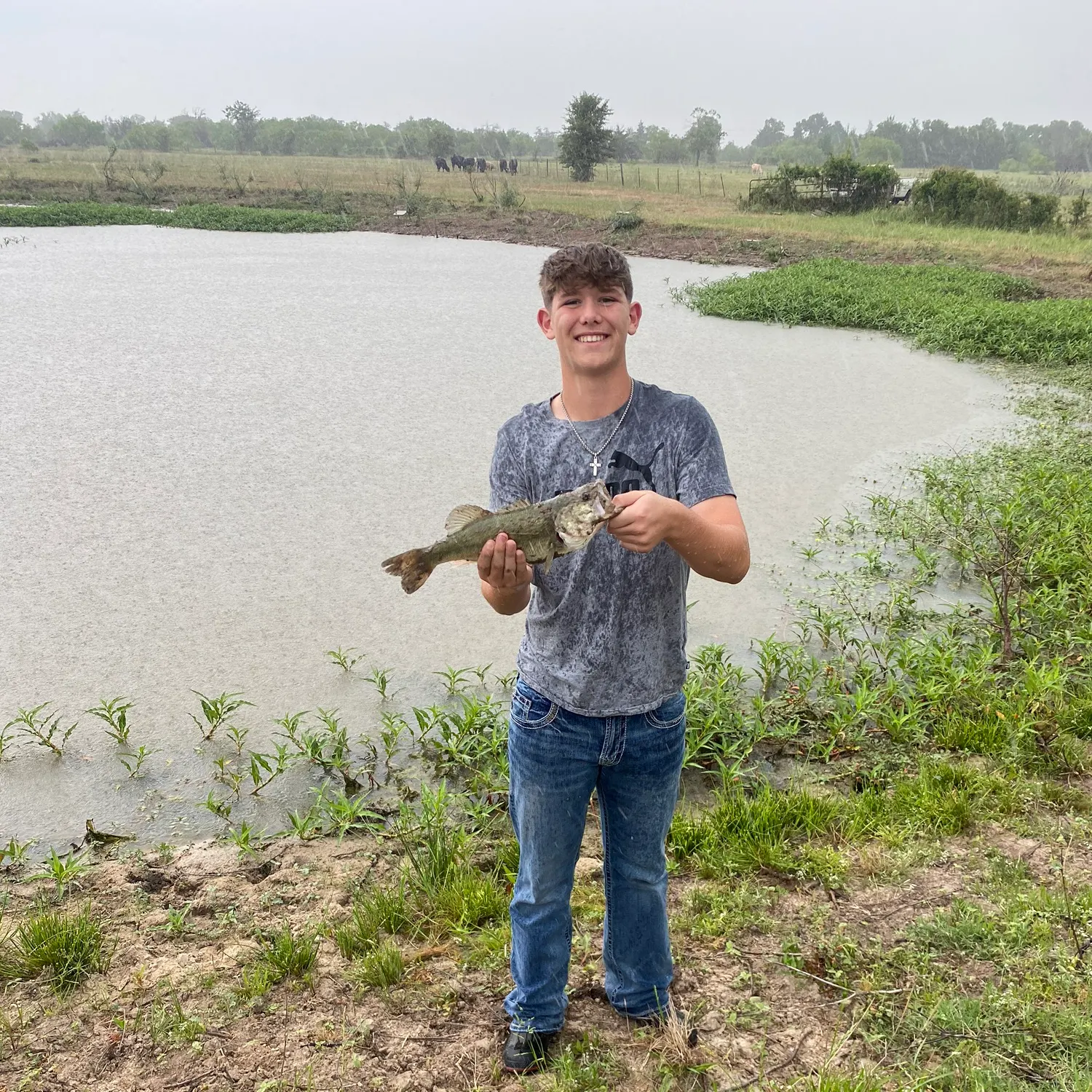 Fishing for Largemouth bass near you