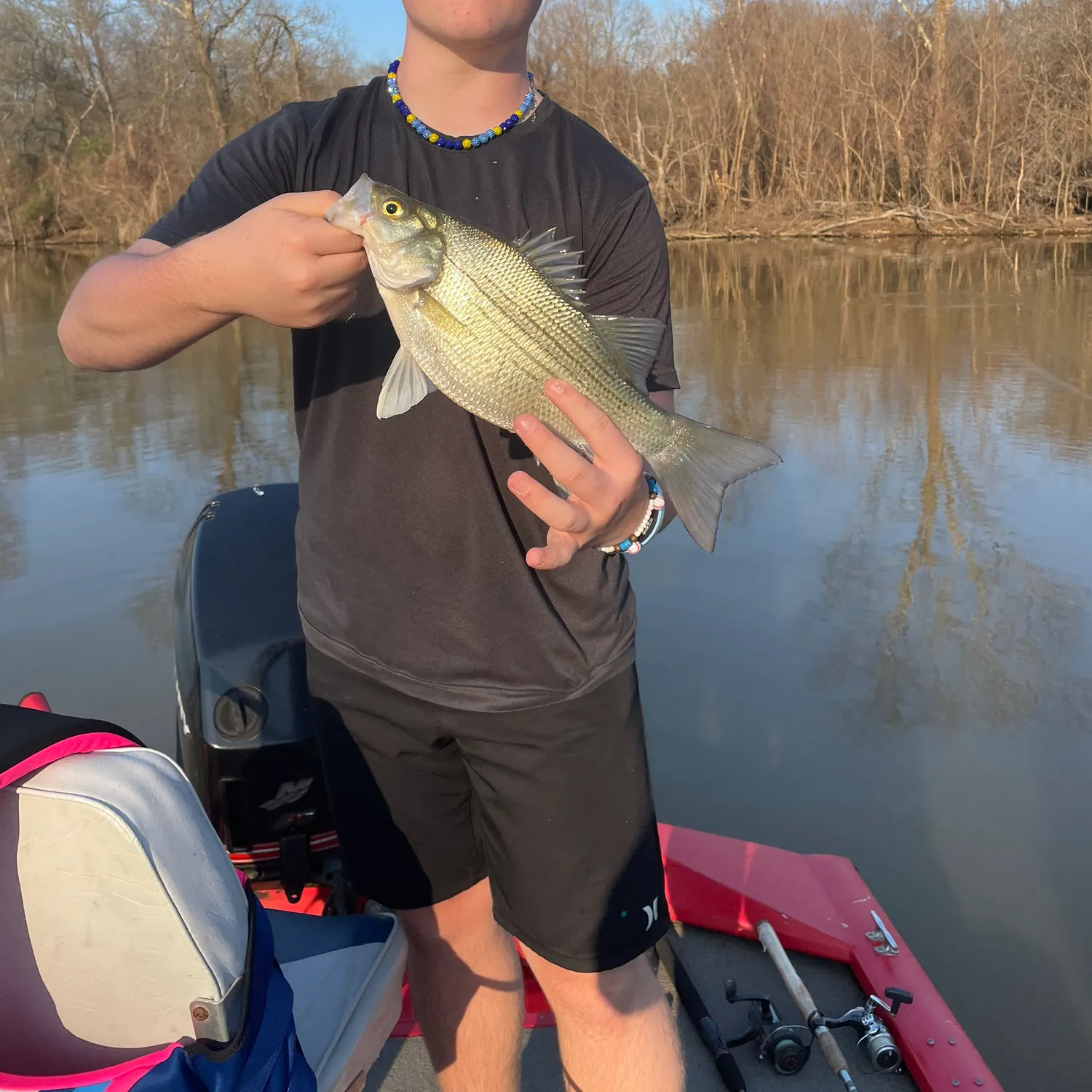 ᐅ Lake Palestine fishing reports🎣• Tyler, TX (United States) fishing