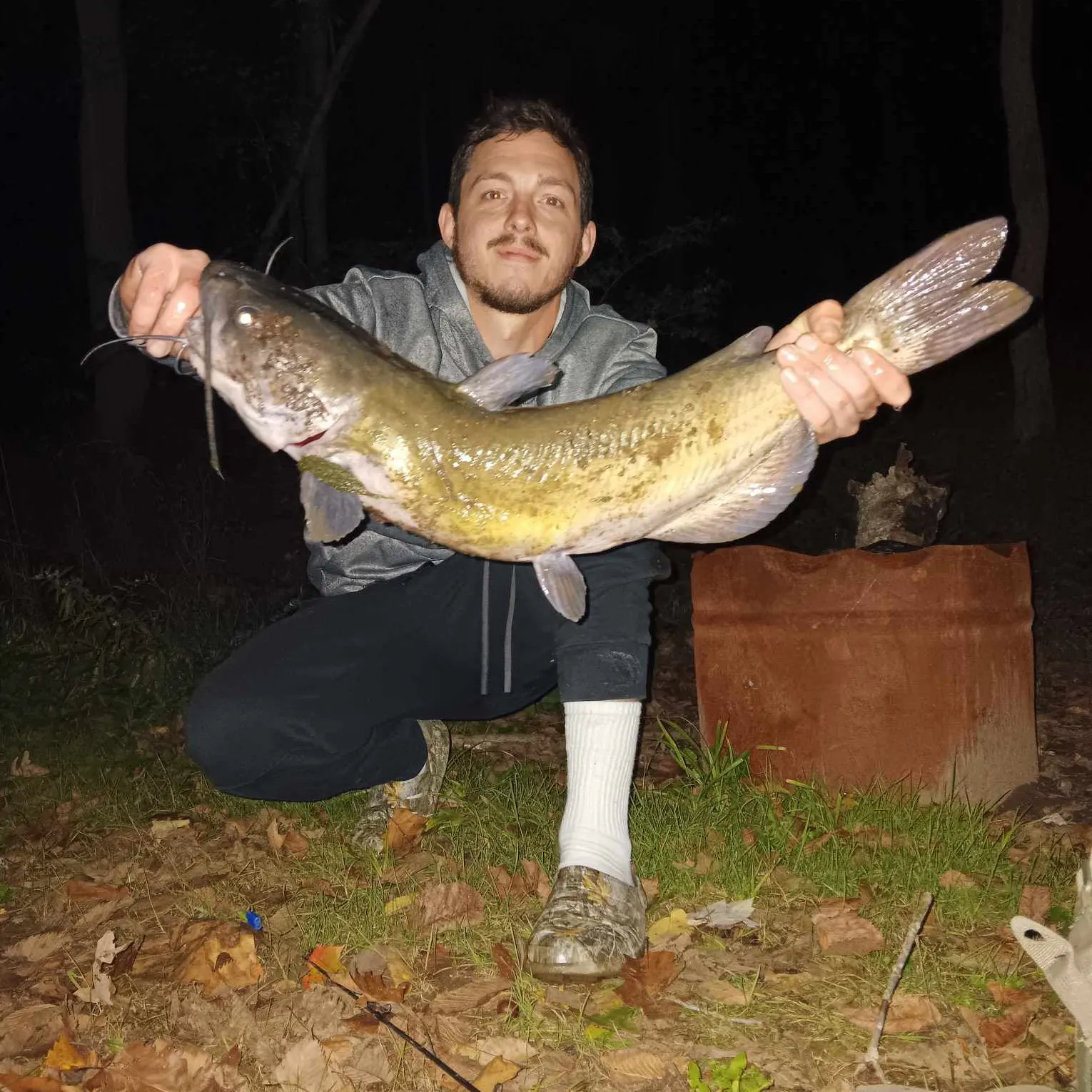 ᐅ Raystown Lake fishing reports🎣• Huntingdon, PA (United States) fishing