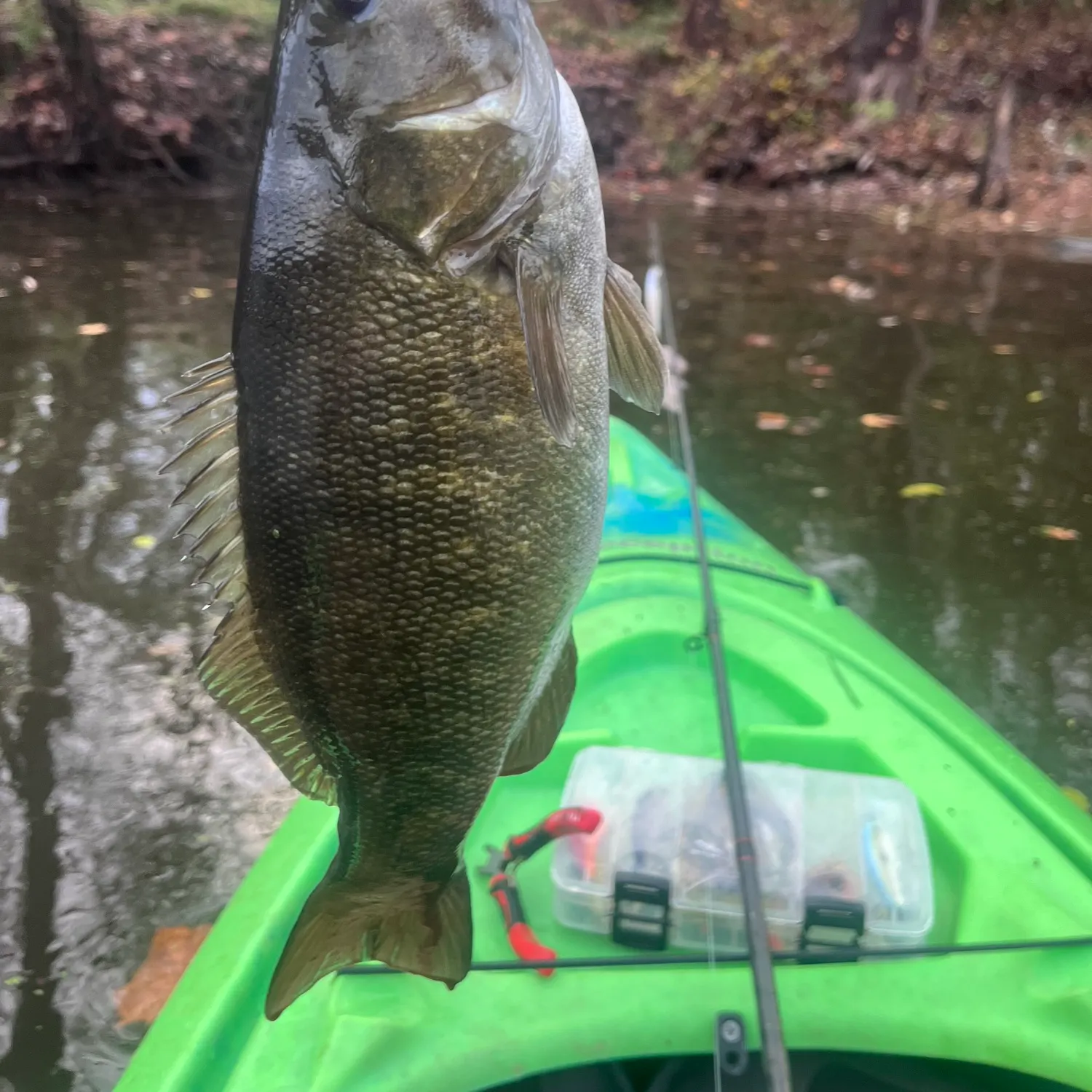 Fishing in Dayton, OH (United States) ️️️️ Find Spots, Species & Tips