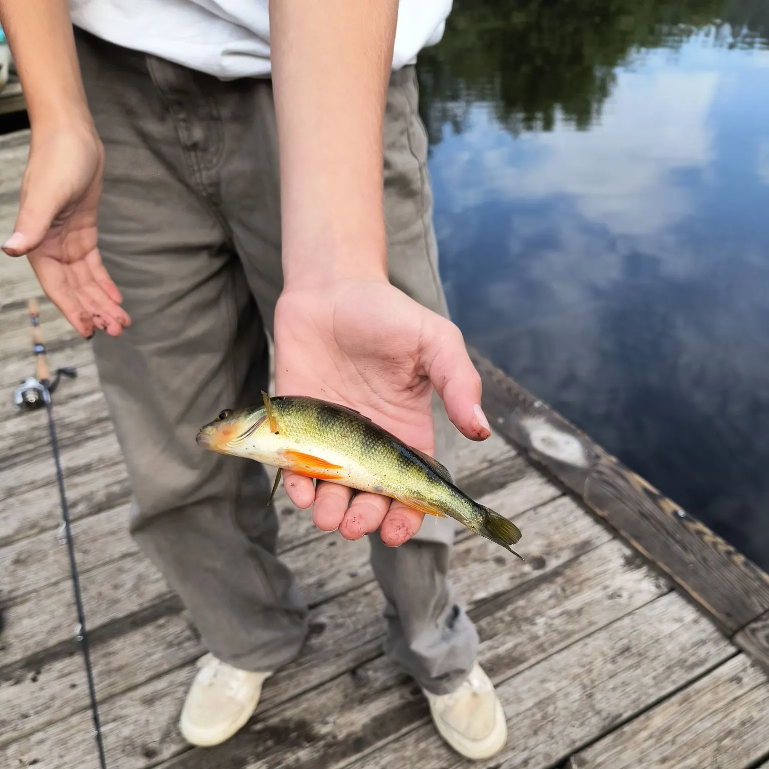 Fishing in Coeur d'Alene, ID (United States) ️️️️ Find Spots, Species ...