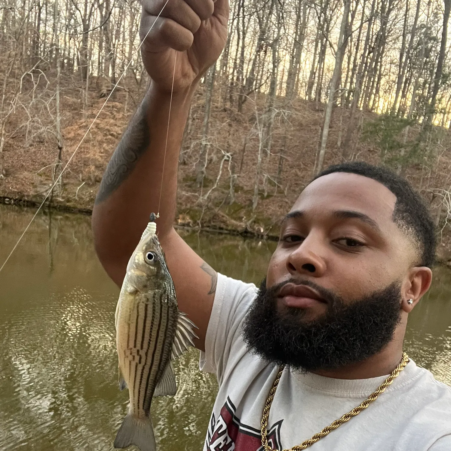 ᐅ Lake Purdy fishing reports🎣• Vestavia Hills, AL (United States) fishing