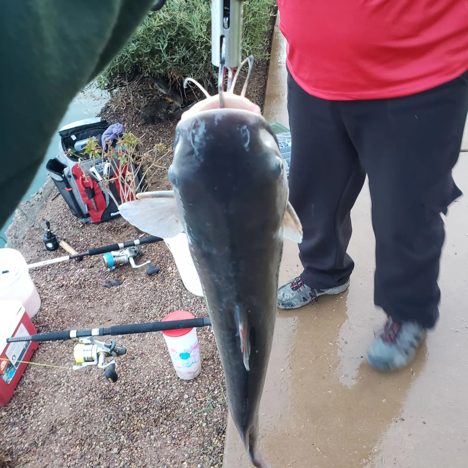 Fishing in Tucson, AZ (United States) ️️️️ Find Spots, Species & Tips