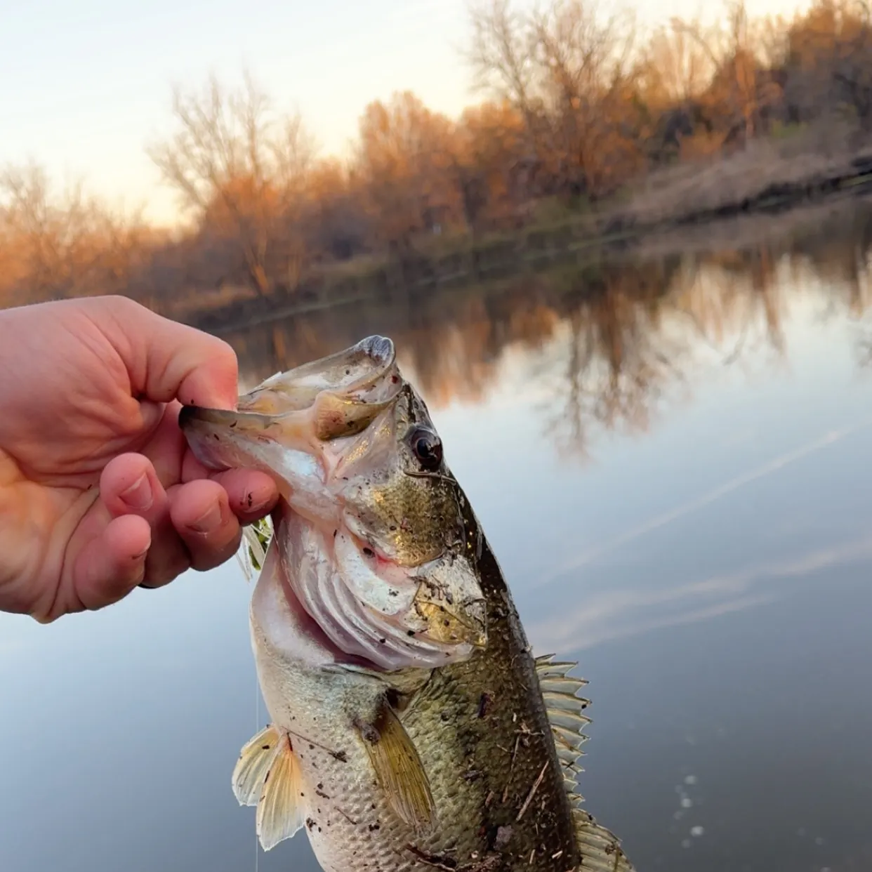 Fishing in Wichita, KS (United States) ️️️️ Find Spots, Species & Tips