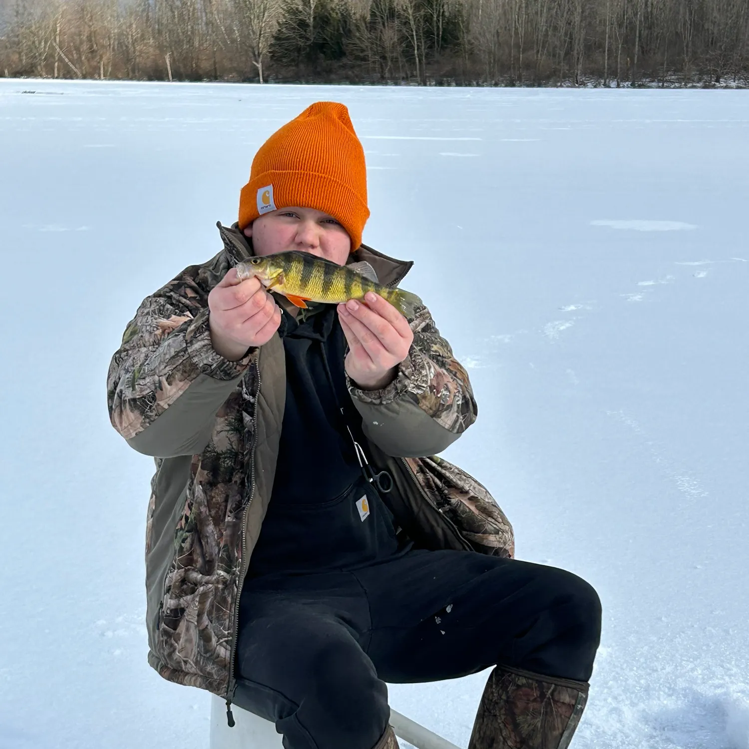 ᐅ Leaser Lake fishing reports🎣• Tamaqua, PA (United States) fishing