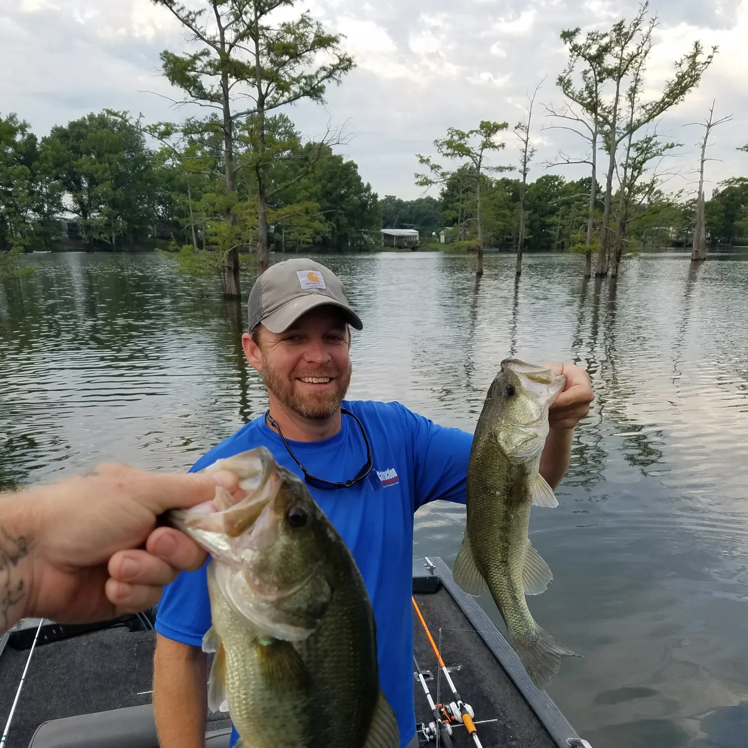 ᐅ Bee Lake fishing reports🎣• Yazoo City, MS (United States) fishing