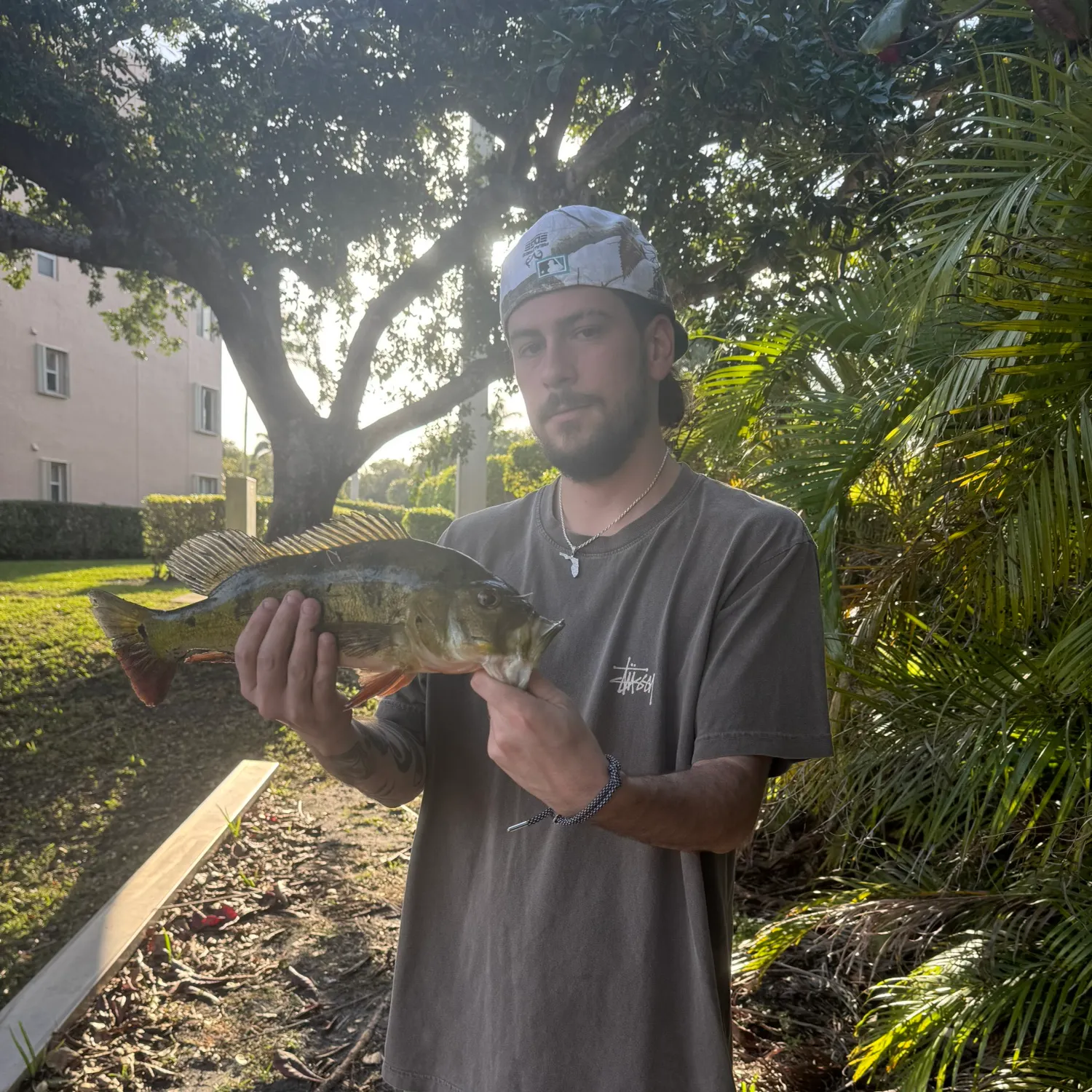 Fishing for Butterfly peacock bass near you
