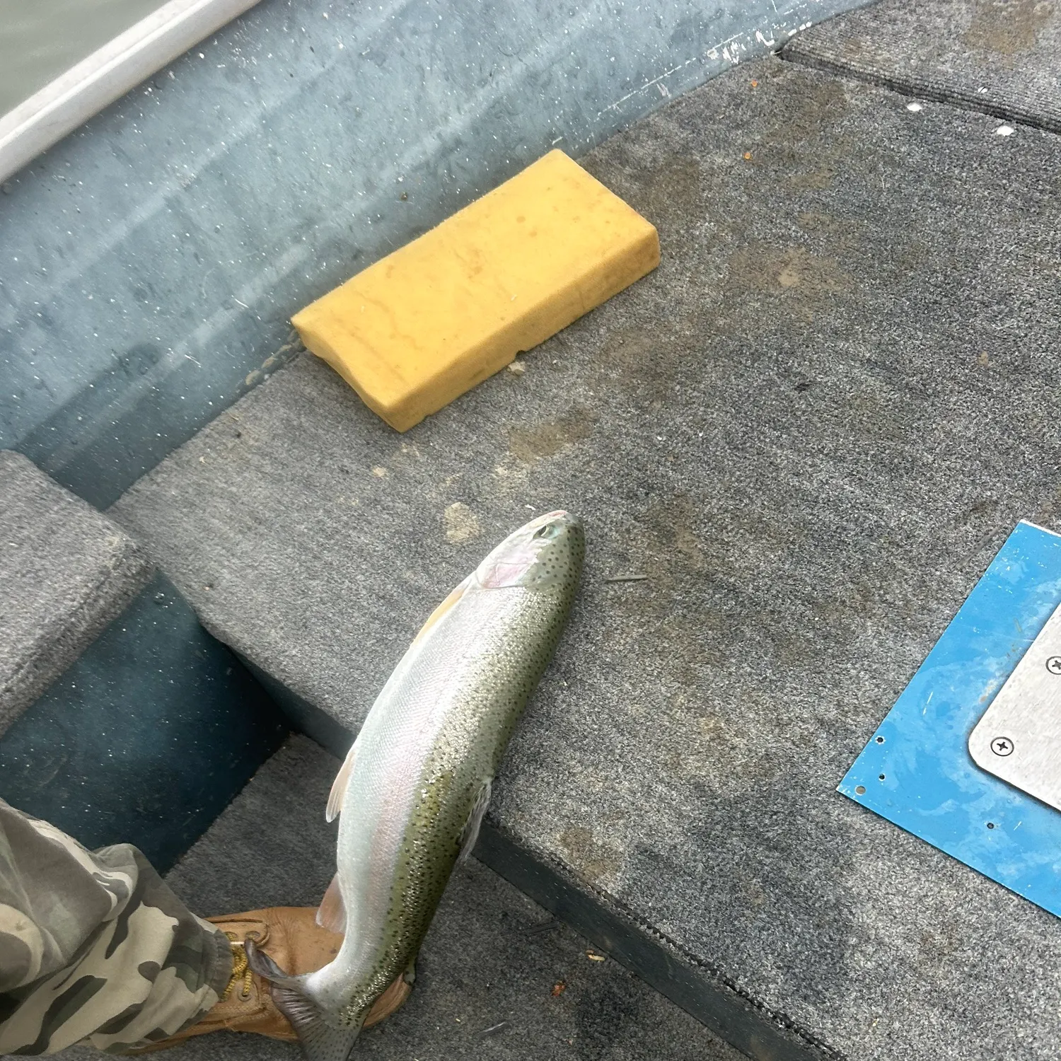 ᐅ Chagrin River fishing reports🎣• Mayfield Heights, OH (United States ...