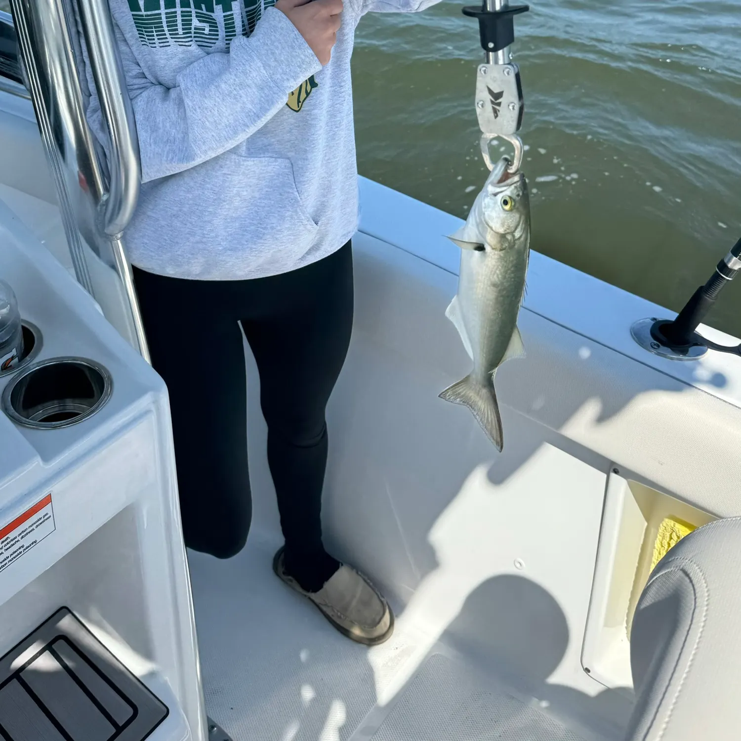 ᐅ Barnegat Bay fishing reports🎣• Lacey, NJ (United States) fishing