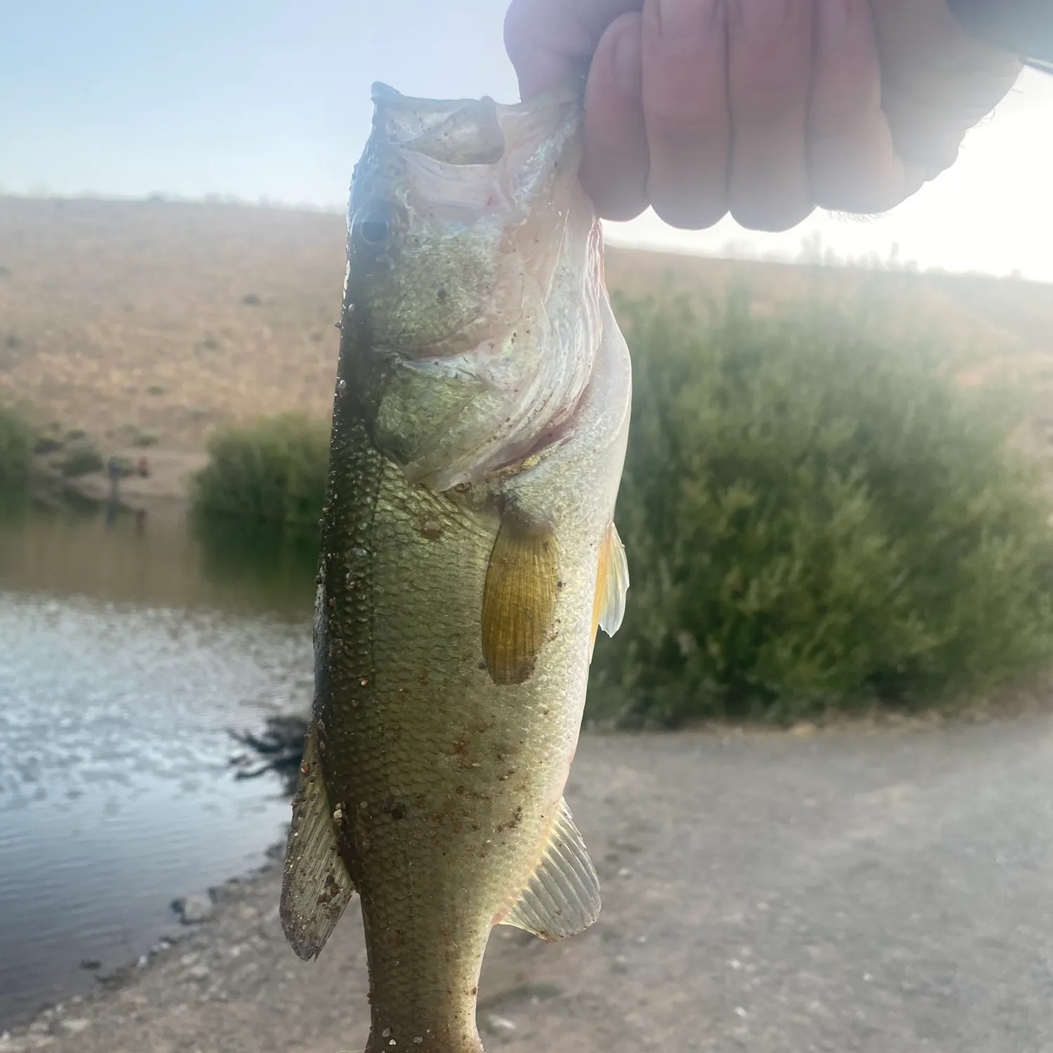 Fishing in Reno, NV (United States) ️️️️ Find Spots, Species & Tips
