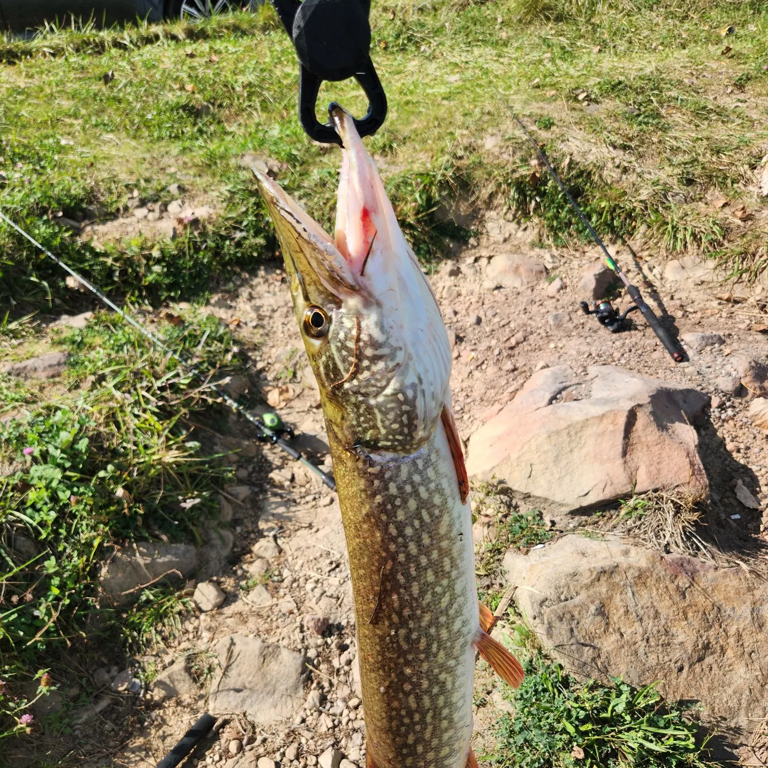 ᐅ LaDue Reservoir fishing reports🎣• Aurora, OH (United States) fishing