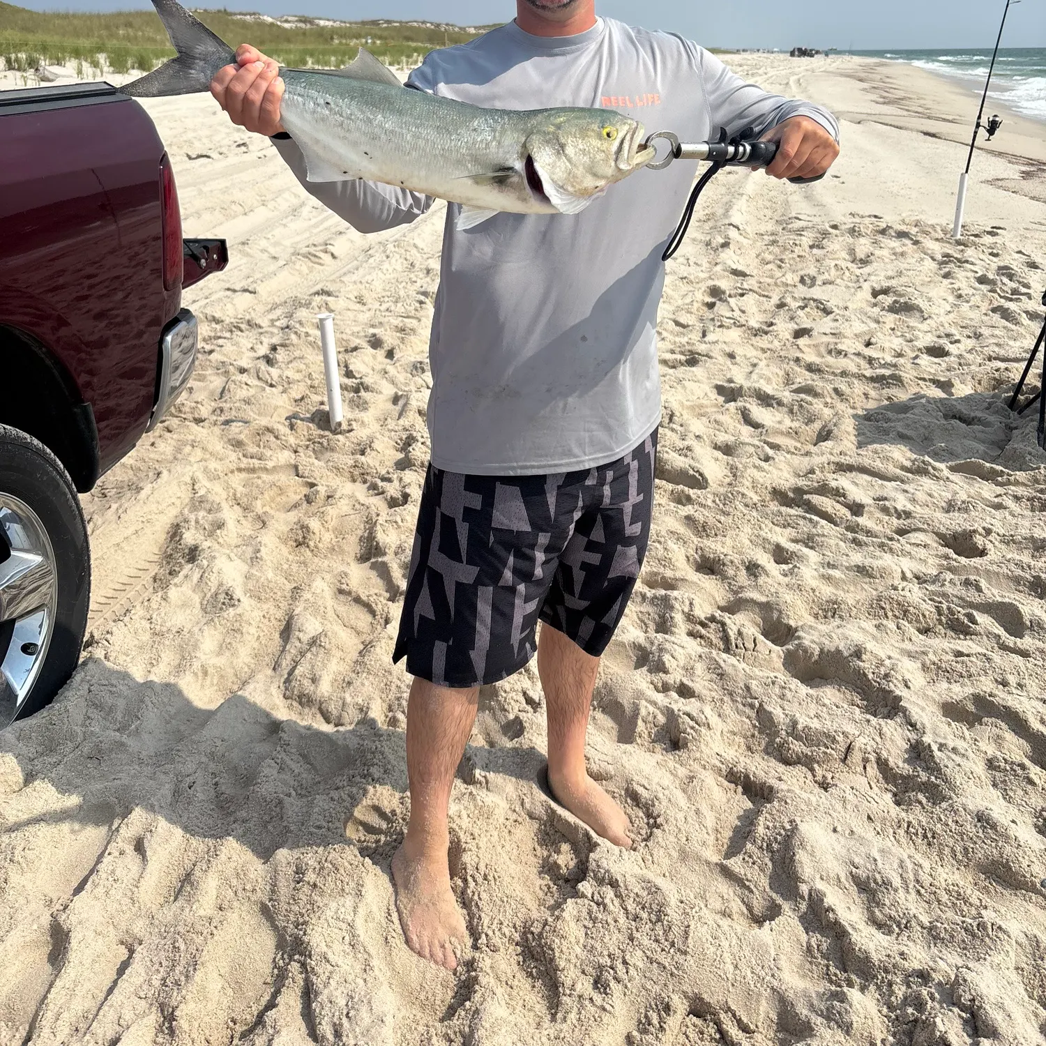 ᐅ Island Beach State Park fishing reports🎣• Berkeley, NJ (United States ...