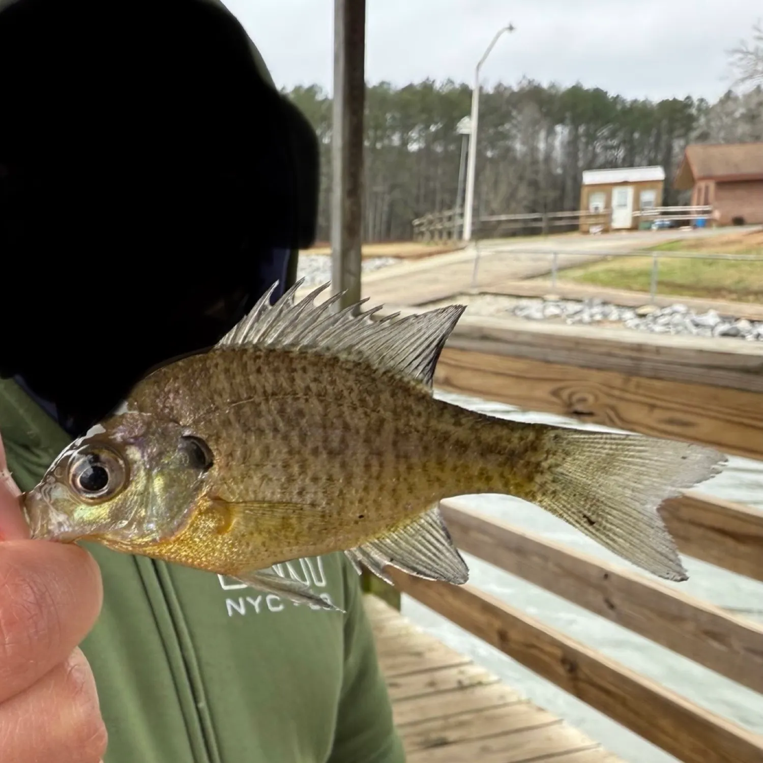 ᐅ Madison County Lake fishing reports🎣• Huntsville, AL (United States ...