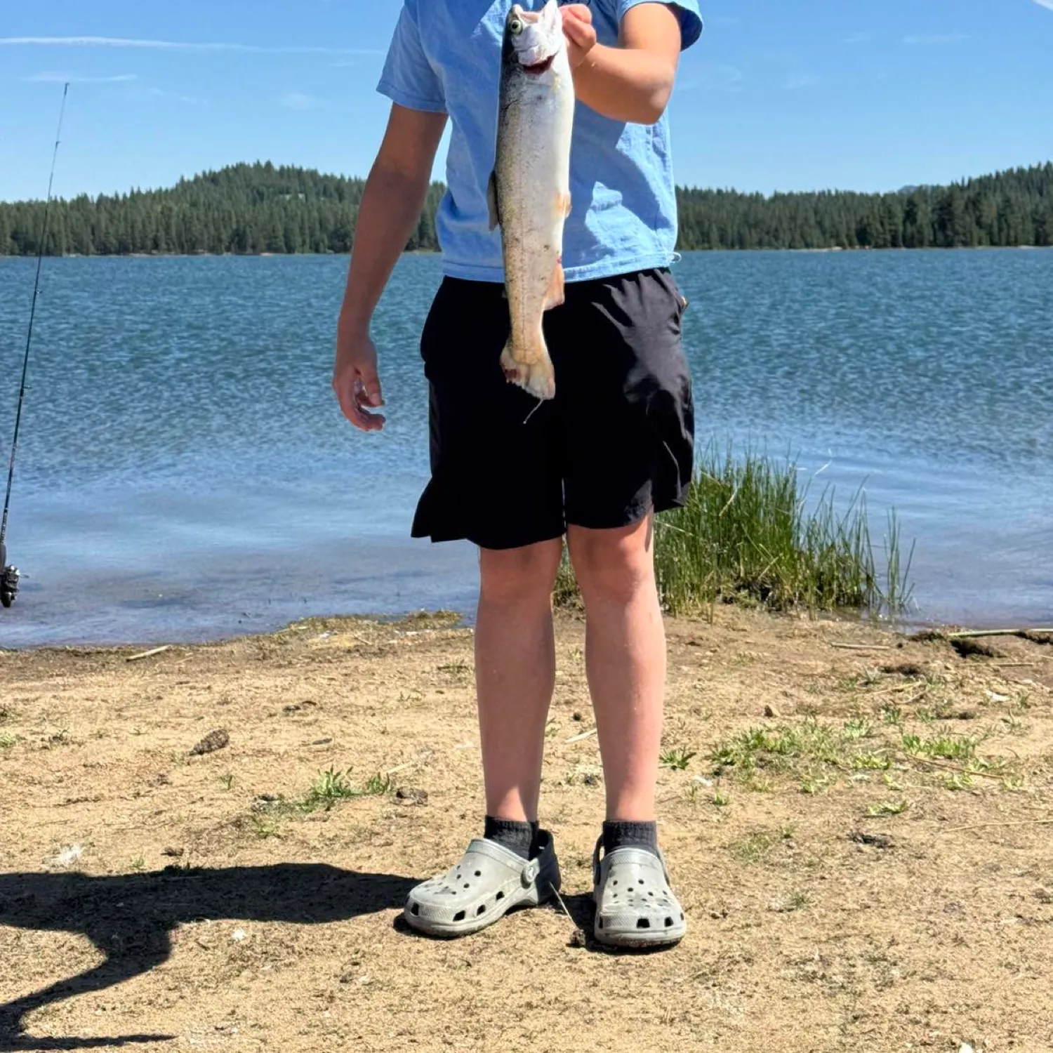 ᐅ Lake Davis fishing reports🎣• Susanville, CA (United States) fishing