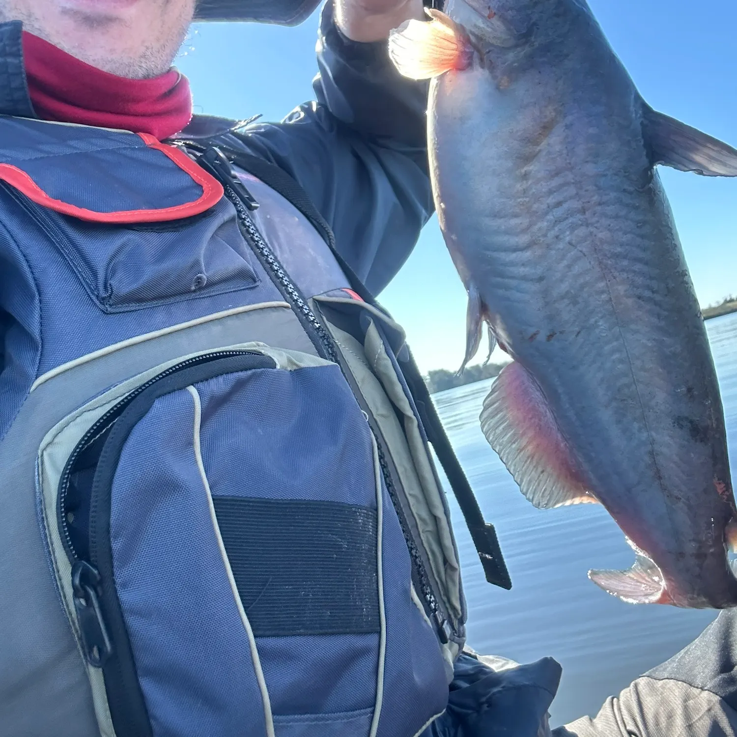 ᐅ Lake Palestine fishing reports🎣• Tyler, TX (United States) fishing