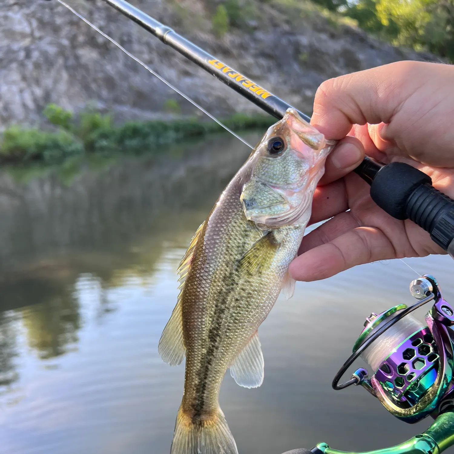 Fishing in Tulsa, OK (United States) ️️️️ Find Spots, Species & Tips