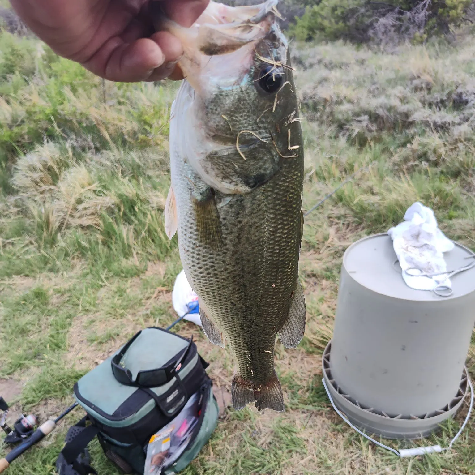 Fishing in Reno, NV (United States) ️️️️ Find Spots, Species & Tips