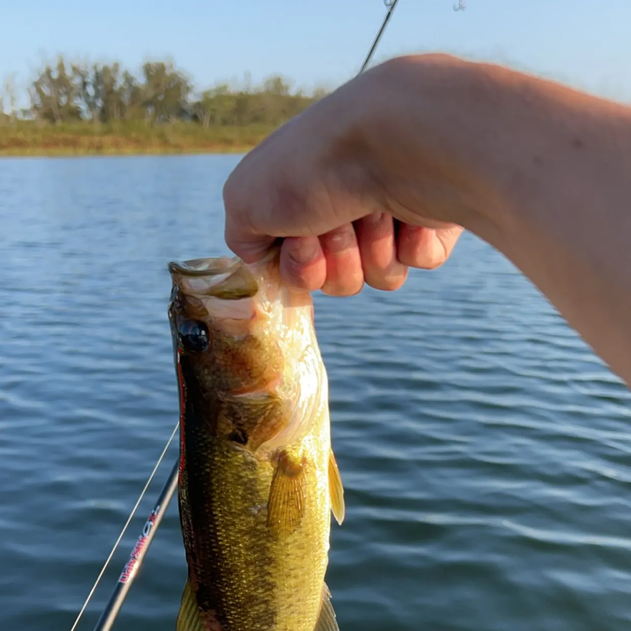 Fishing in Erie, PA (United States) ️️️️ Find Spots, Species & Tips