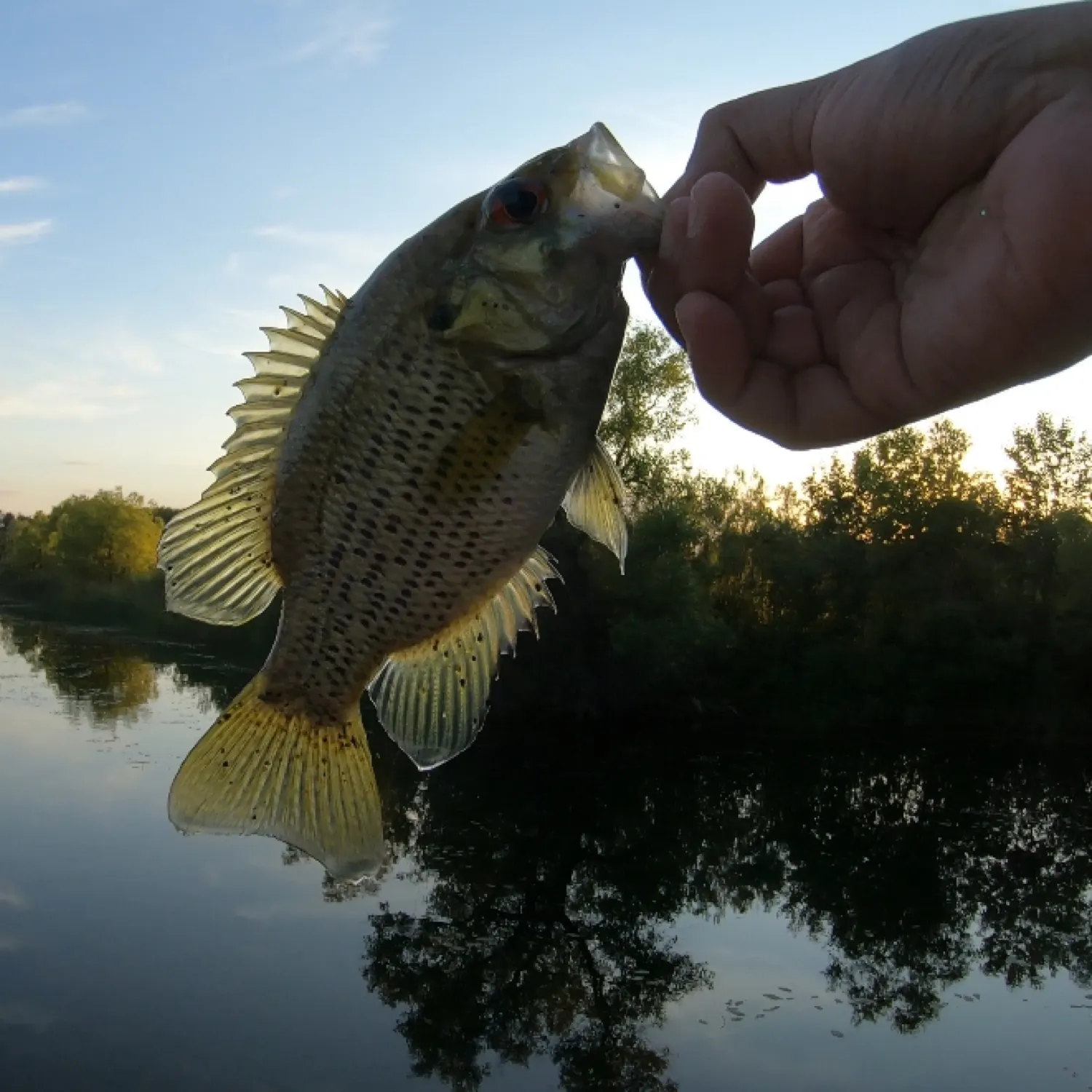 ᐅ Reynolds Ponds fishing reports🎣• Manitoba, Canada fishing