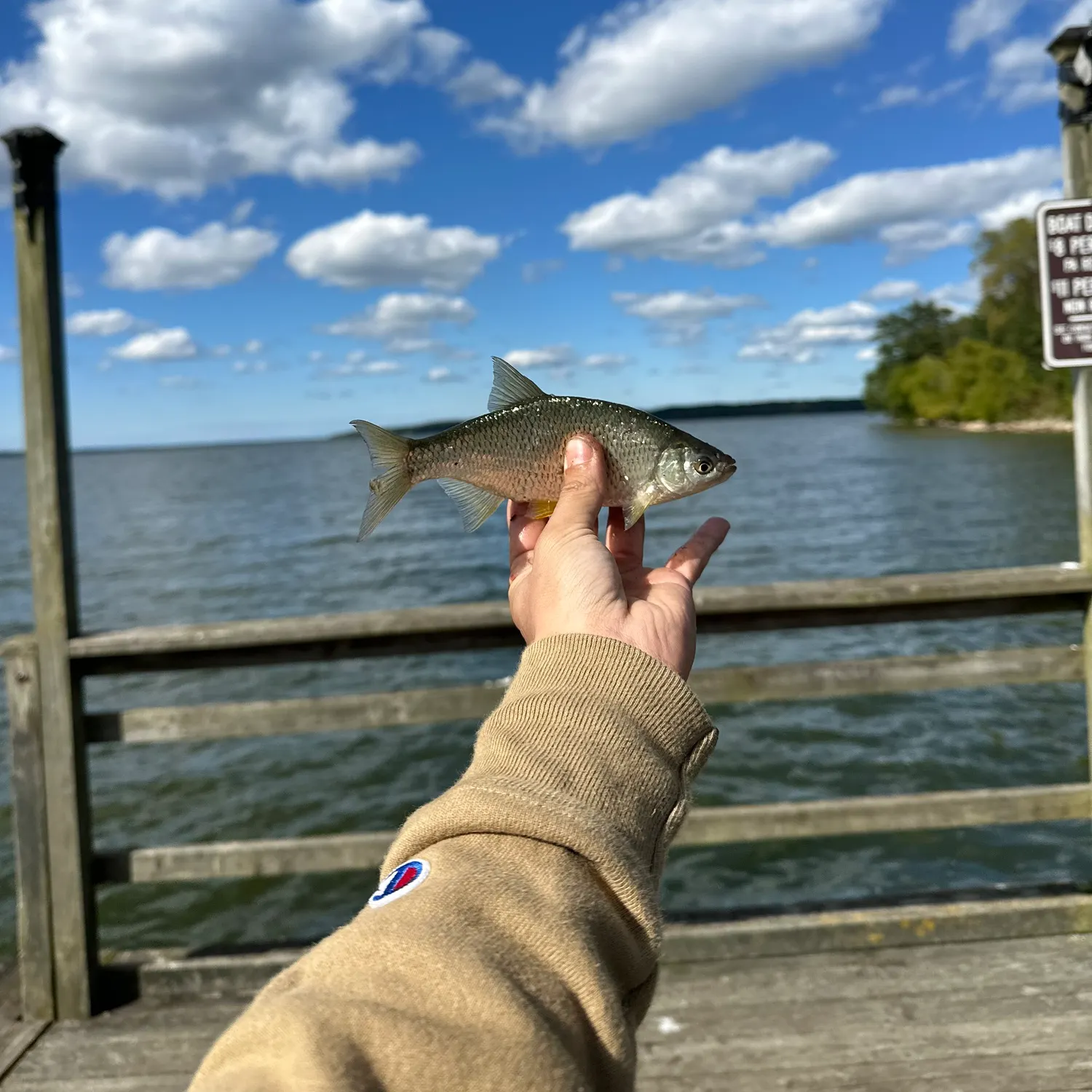ᐅ Pymatuning Reservoir fishing reports🎣• Meadville, PA (United States ...