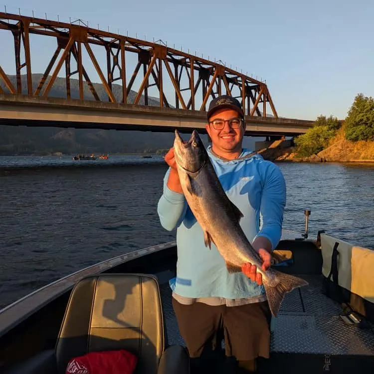 ᐅ Drano Lake fishing reports🎣• Hood River, WA (United States) fishing