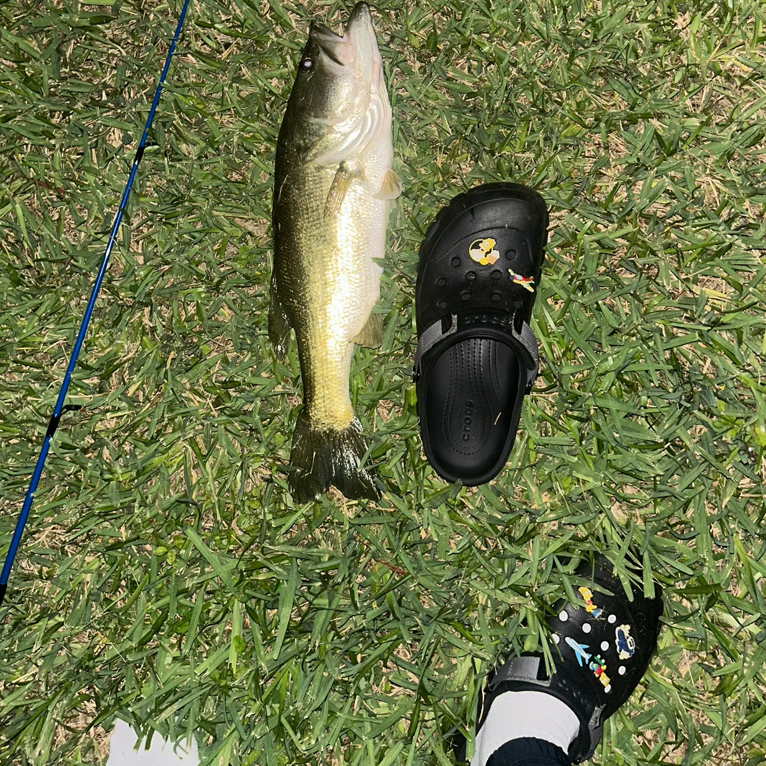 Fishing in Ormond Beach, FL (United States) ️️️️ Find Spots, Species & Tips