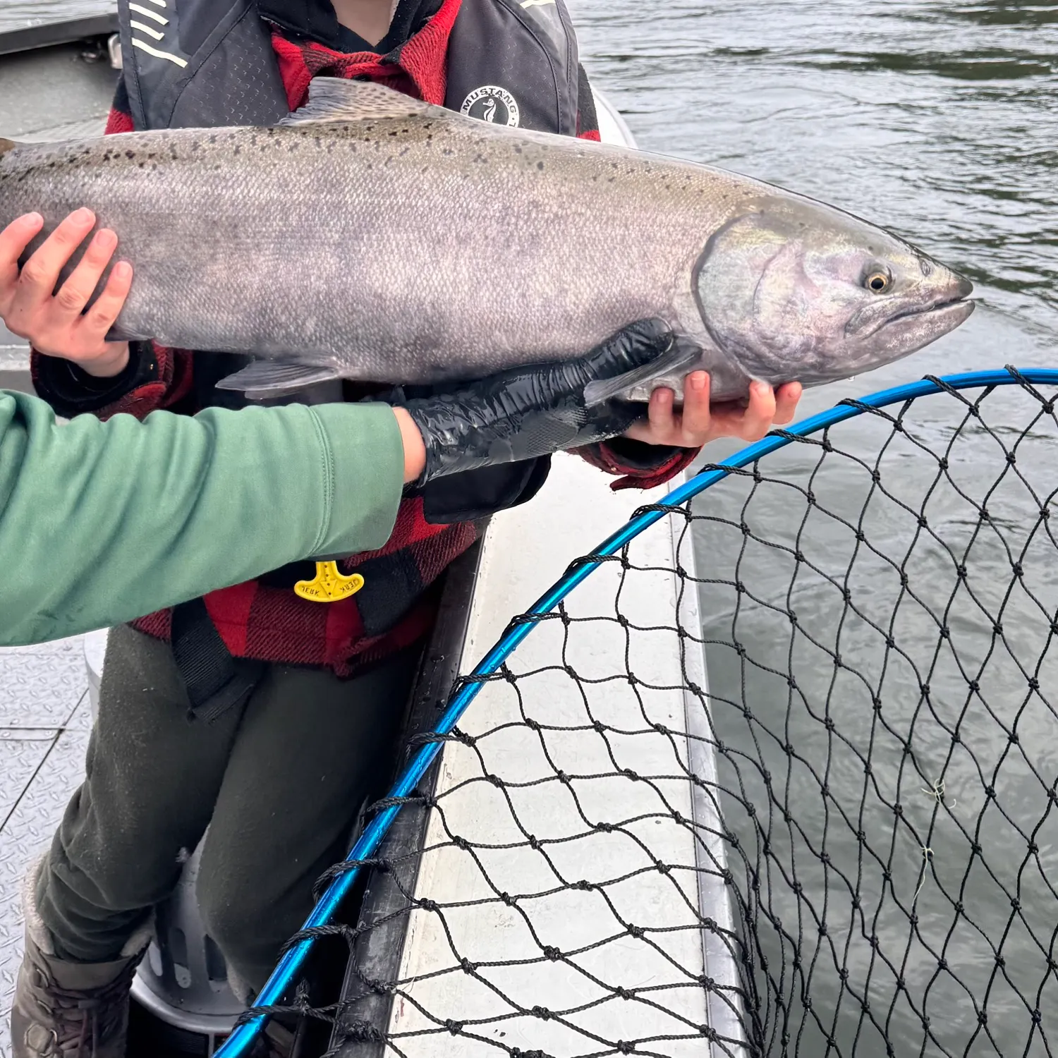 ᐅ Cowlitz River fishing reports🎣• Longview, WA (United States) fishing