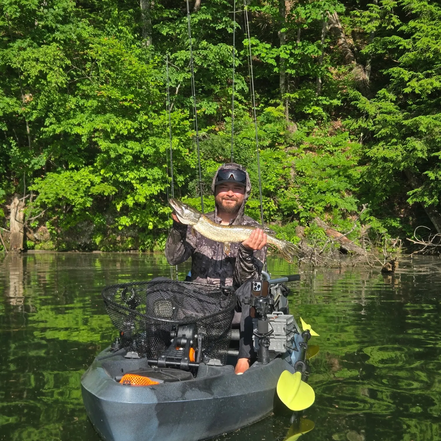 ᐅ Tippy Dam Pond fishing reports🎣• Cadillac, MI (United States) fishing