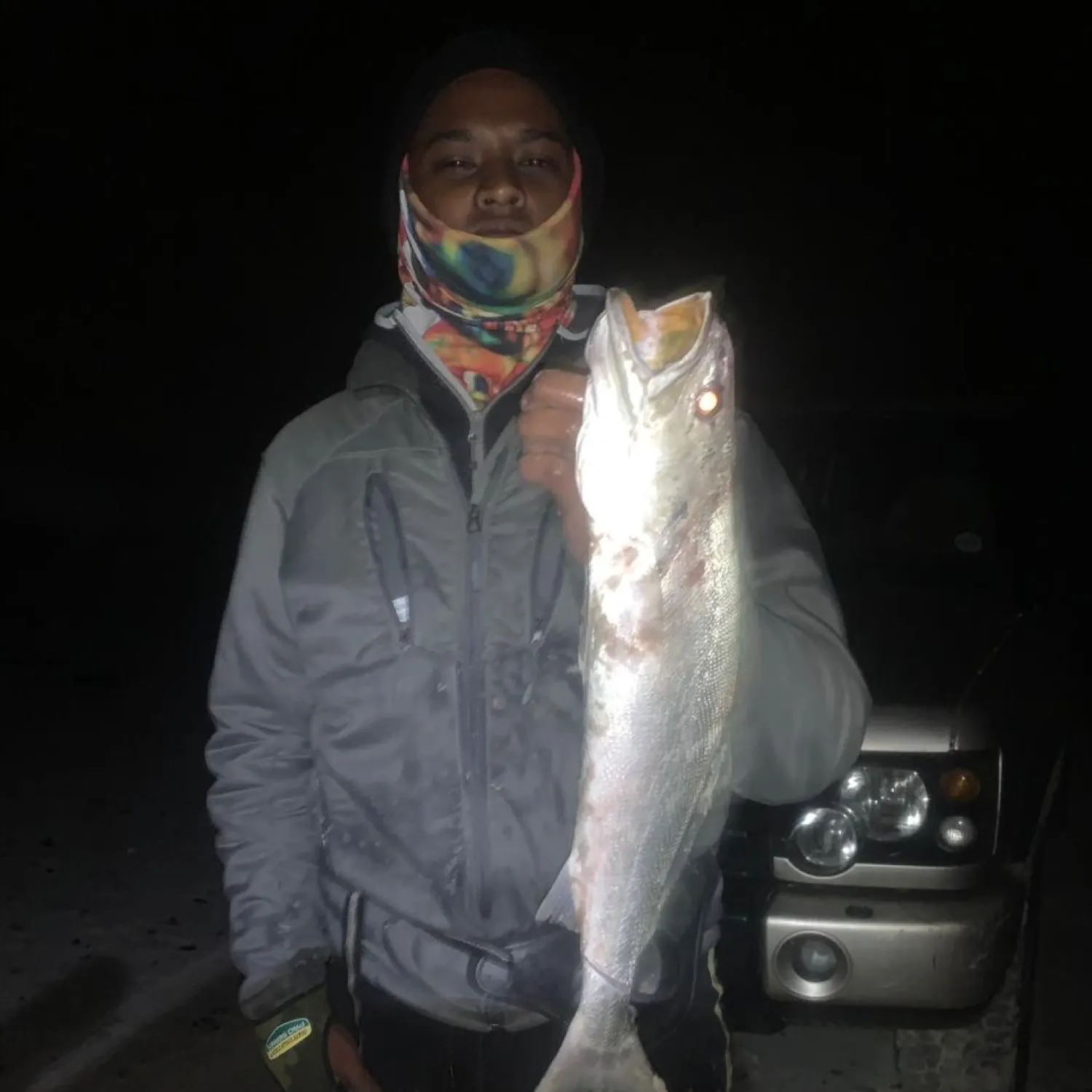 ᐅ False Bay fishing reports🎣• Western Cape, South Africa fishing