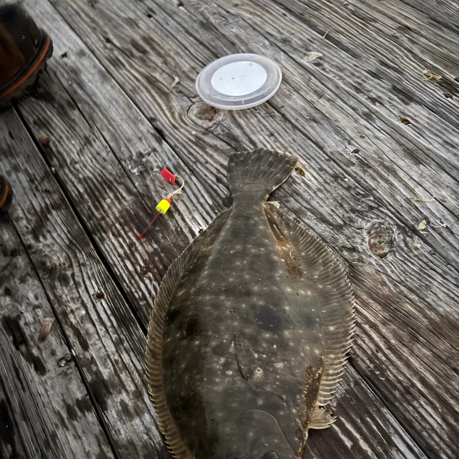 ᐅ Cherry Grove Inlet fishing reports🎣• North Myrtle Beach, SC (United ...