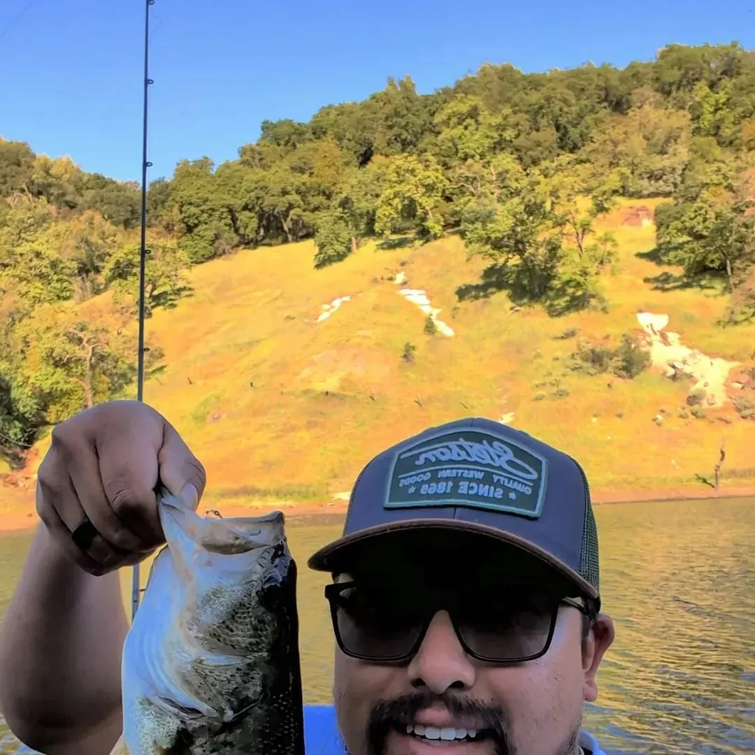 Fishing in San Jose, CA (United States) ️️️️ Find Spots, Species & Tips