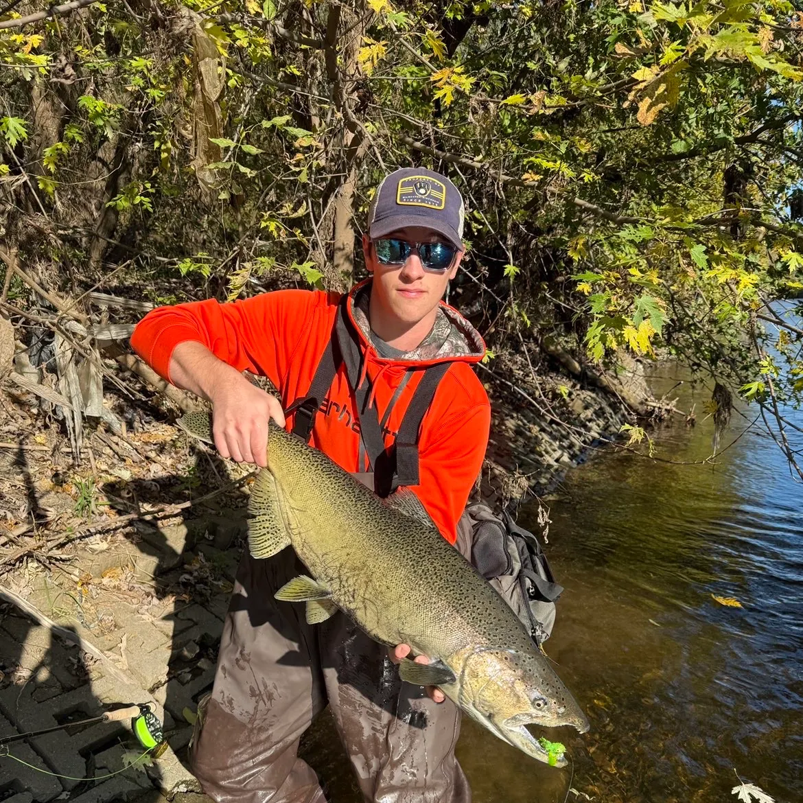 ᐅ Milwaukee River fishing reports🎣• Grafton, WI (United States) fishing