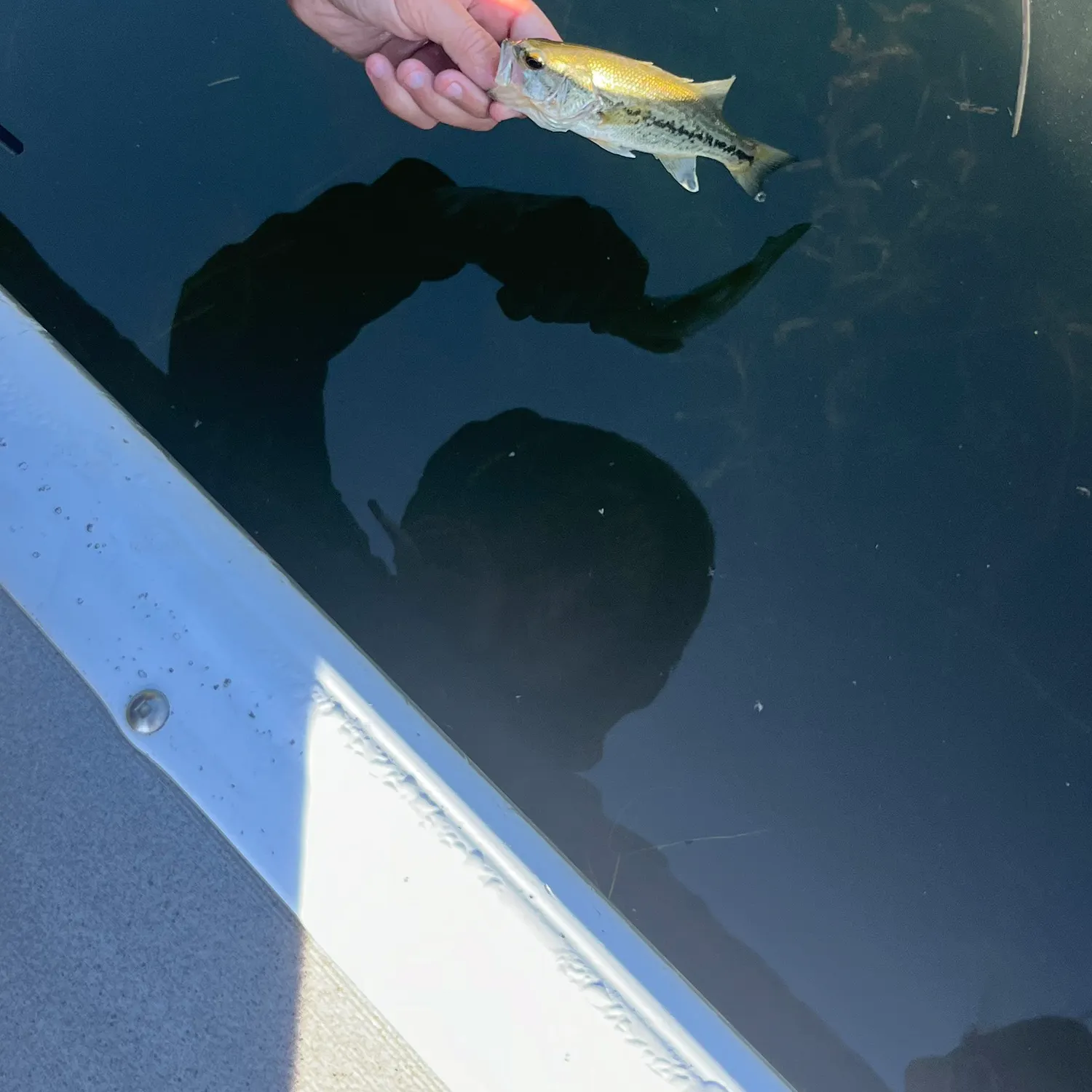 Fishing in Spokane, WA (United States) ️️️️ Find Spots, Species & Tips