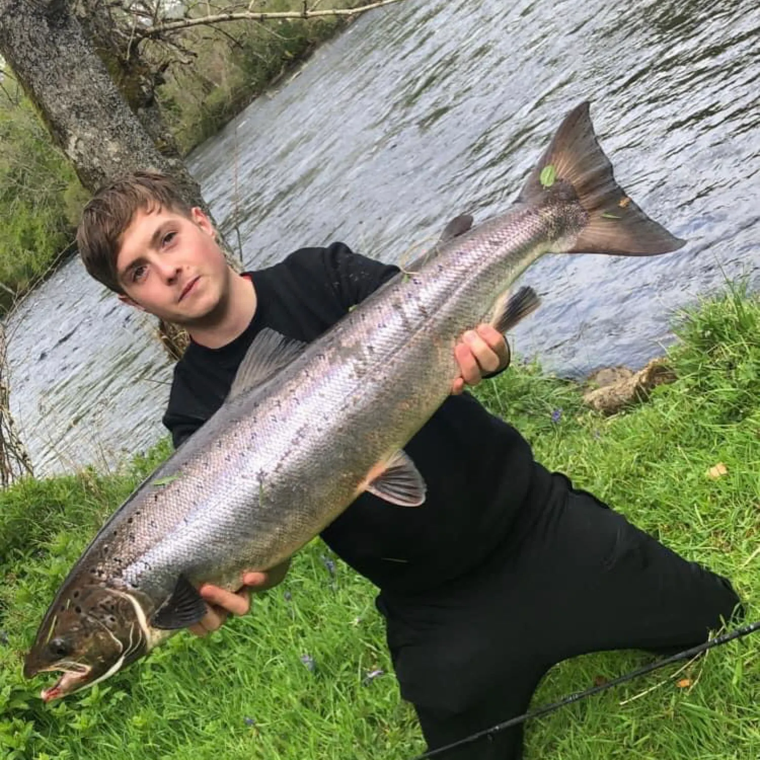 ᐅ River Tay fishing reports🎣• Scotland, United Kingdom fishing