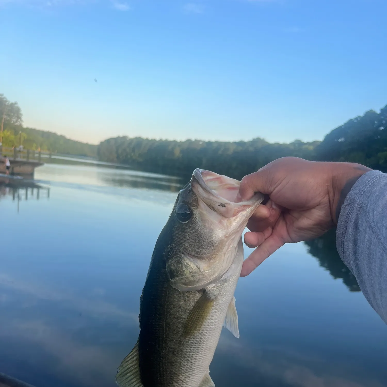 Fishing in Raleigh, NC (United States) ️️️️ Find Spots, Species & Tips