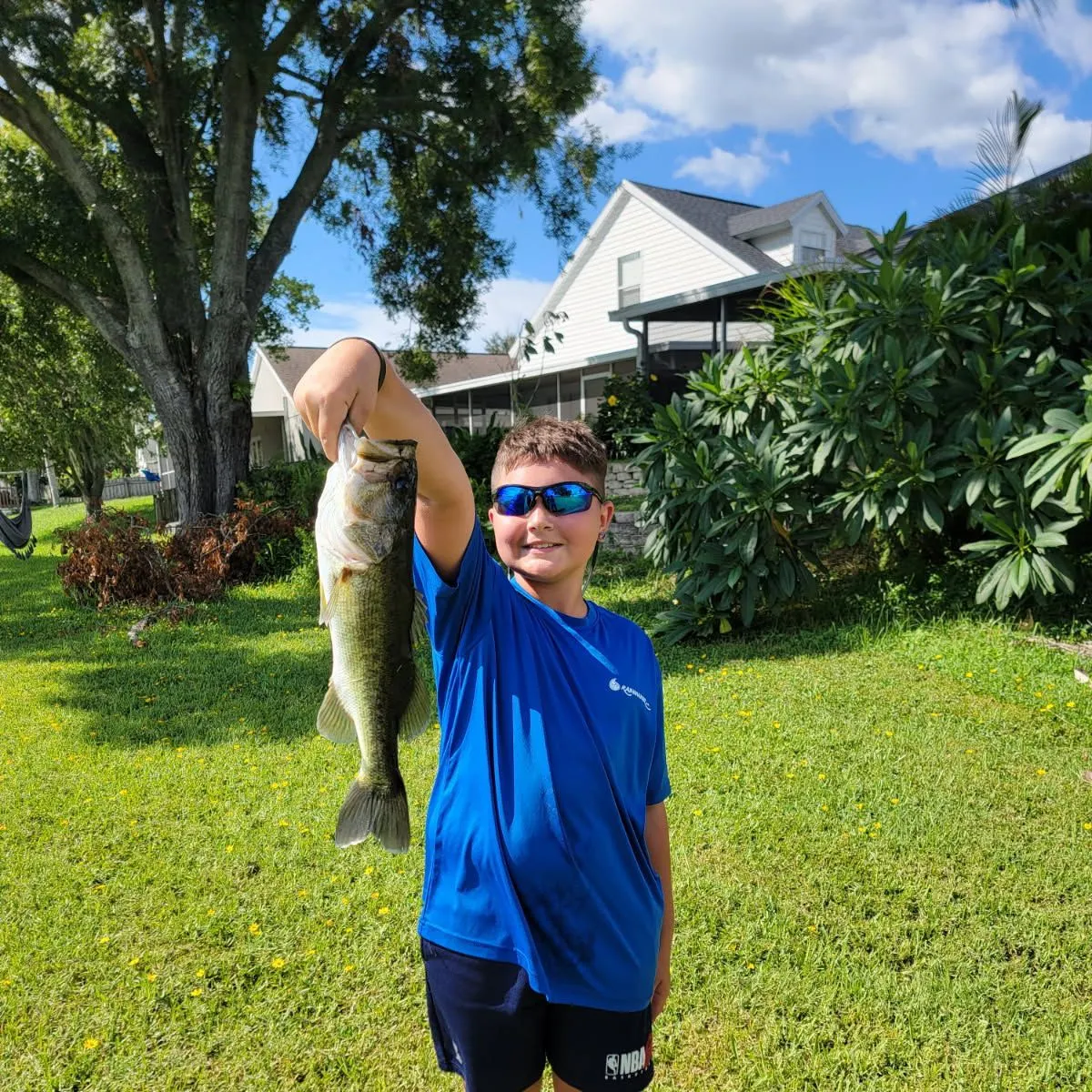 Fishing in Riverview, FL (United States) ️️️️ Find Spots, Species & Tips