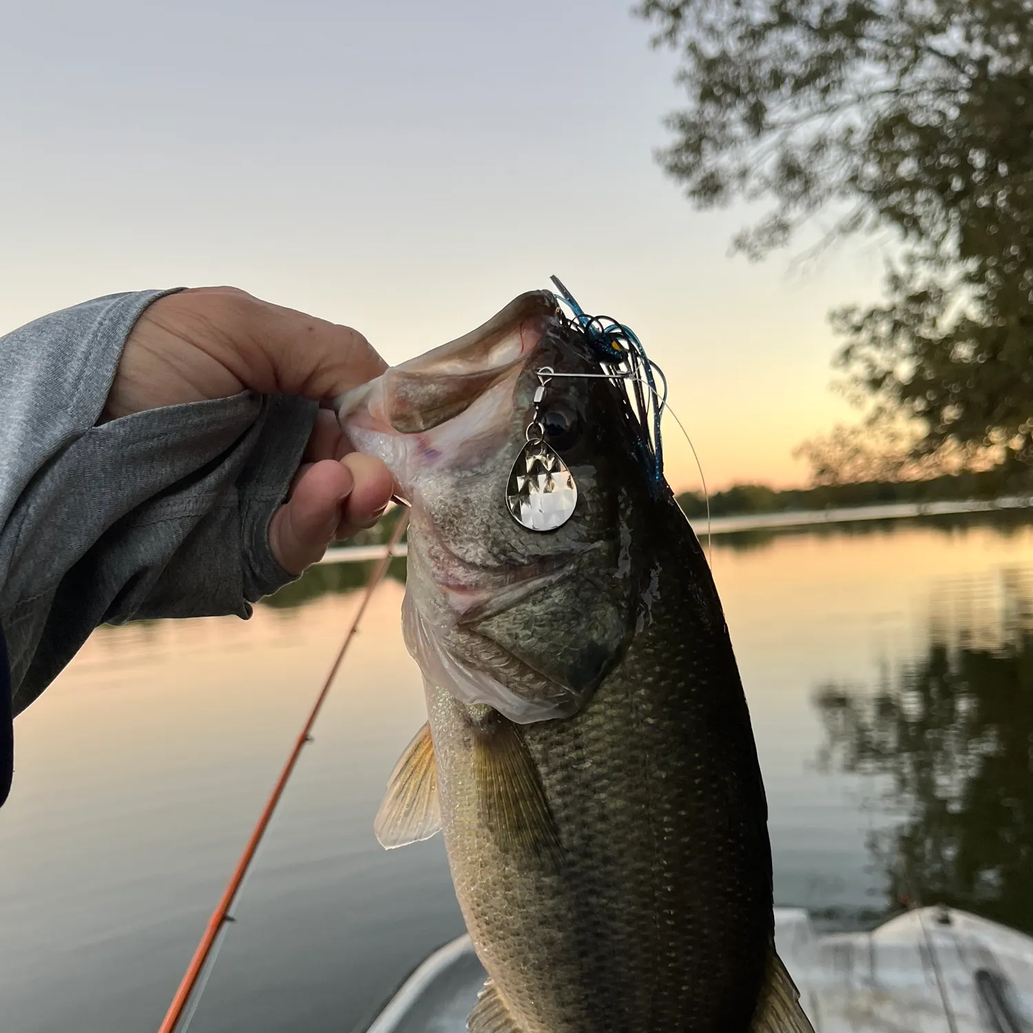 Fishing in Memphis, TN (United States) ️️️️ Find Spots, Species & Tips