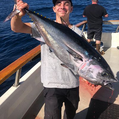Fishing for Pacific bluefin tuna near you