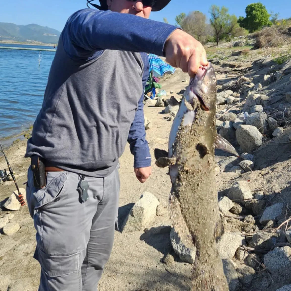 ᐅ Lake Henshaw fishing reports🎣• Ramona, CA (United States) fishing