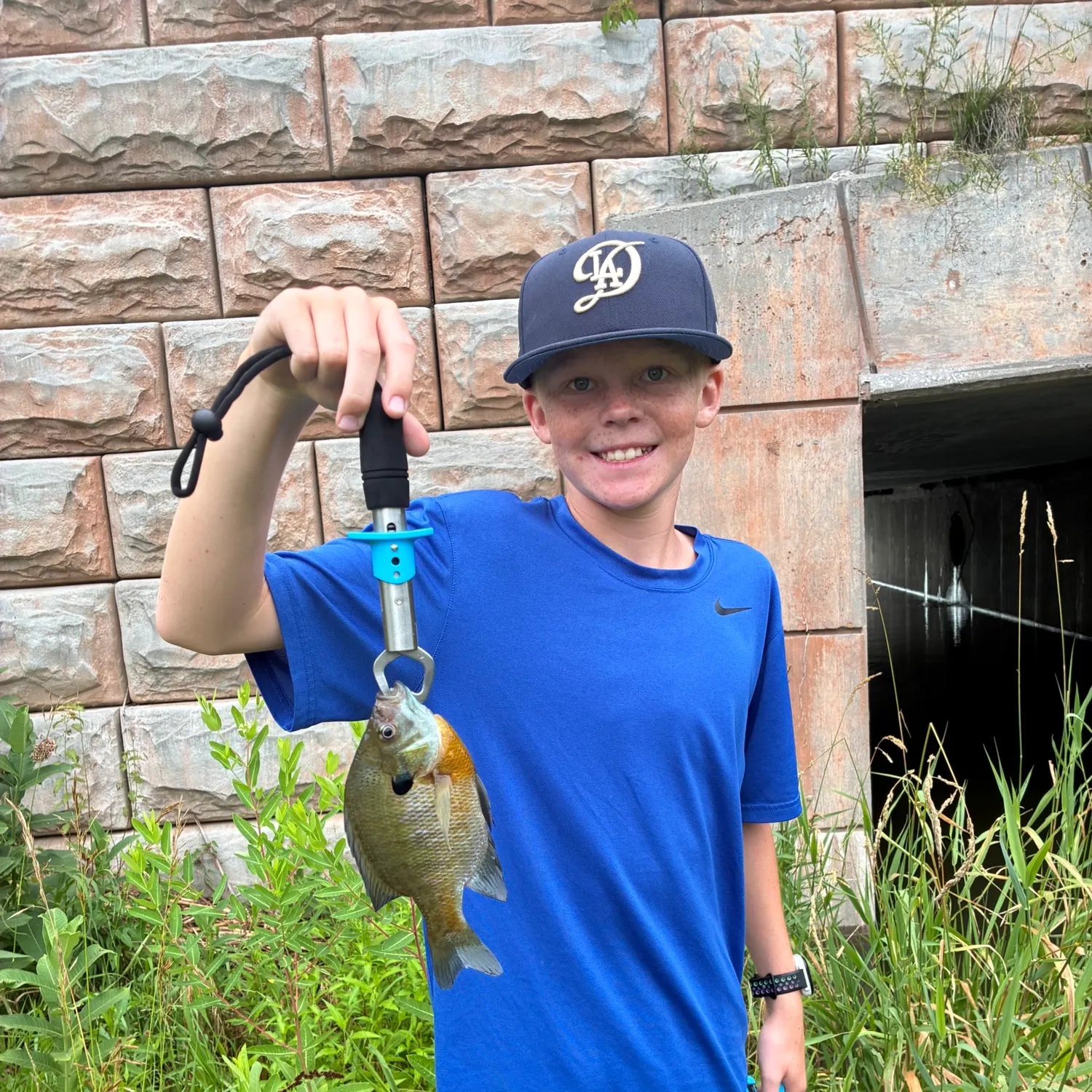 Fishing in Omaha, NE (United States) ️️️️ Find Spots, Species & Tips