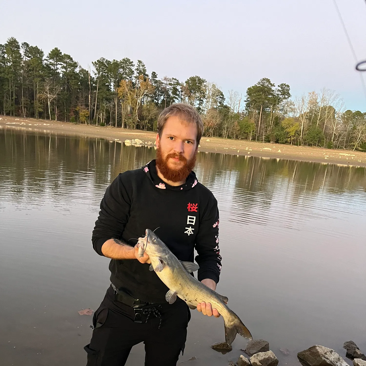 ᐅ Lake Purdy fishing reports🎣• Vestavia Hills, AL (United States) fishing