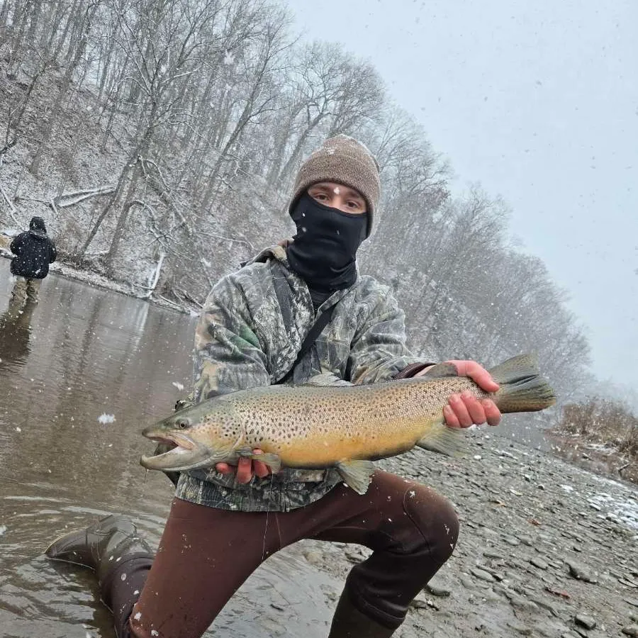 ᐅ Burt Dam fishing reports🎣• Lockport, NY (United States) fishing